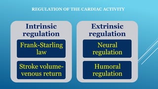 Regulation of the cardiac activitydcbdbsbsbhwsgwsrgwrg.pptx