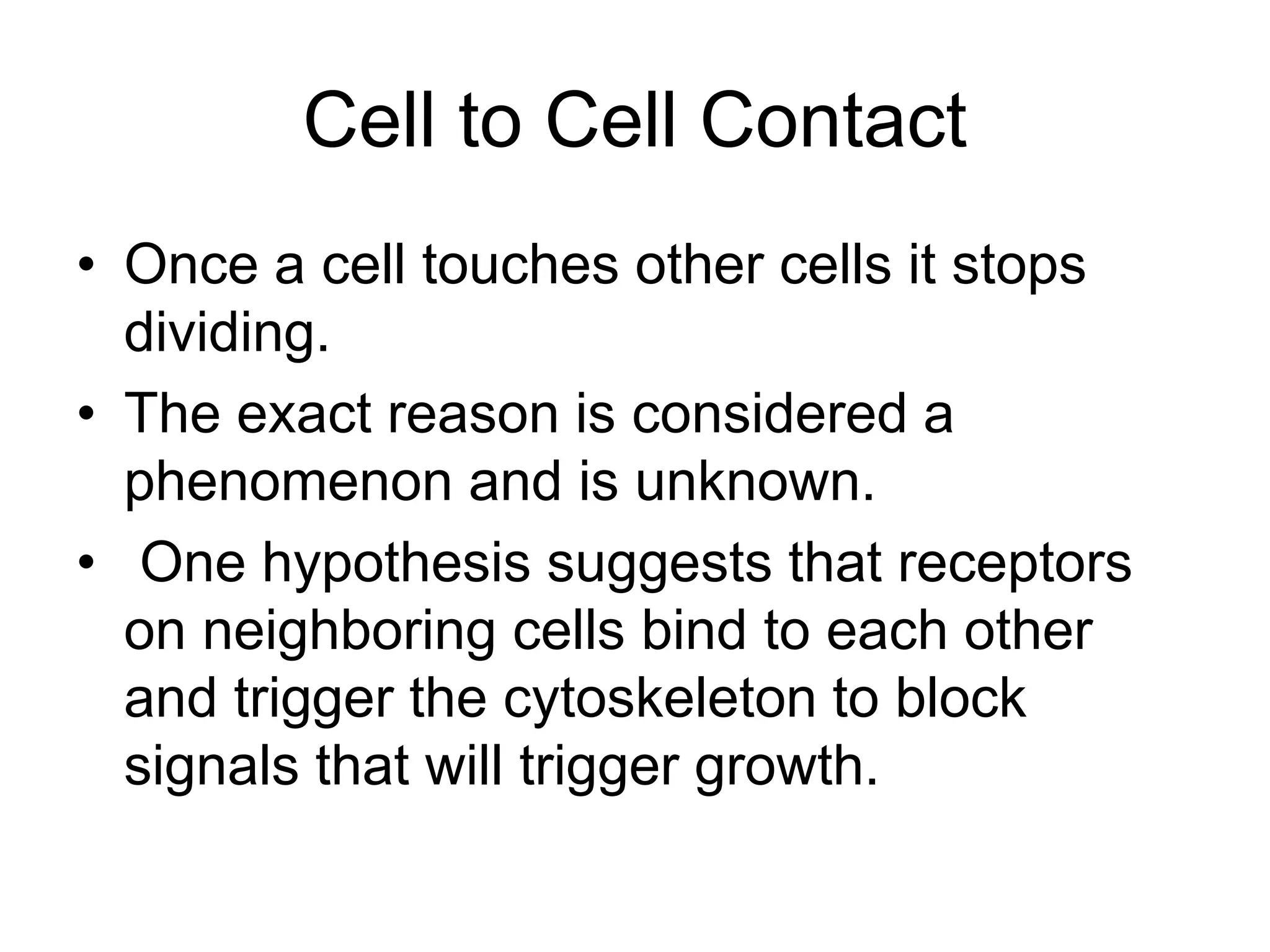 Regulation of the_cell_cycle | PPT