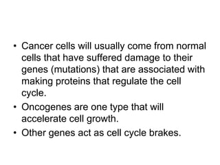 Regulation of the_cell_cycle | PPT