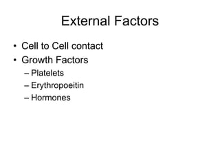 Regulation of the_cell_cycle | PPT