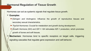 Regulation of Tissue Growth and mechanismsG6.pptx