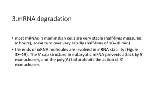 Regulation of translation or gene expression lec 33 | PPTX