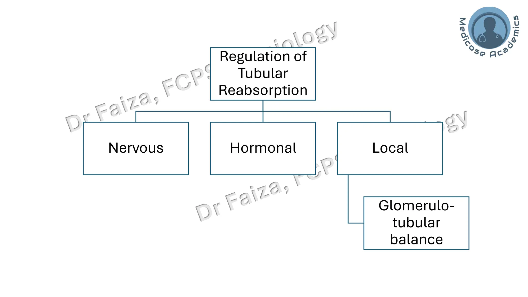 Regulation of tubular reabsorption _AntiCopy.pdf