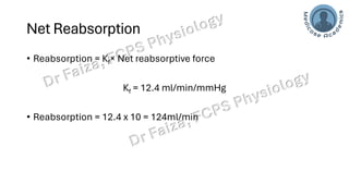 Regulation of tubular reabsorption _AntiCopy.pdf
