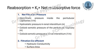 Regulation of tubular reabsorption _AntiCopy.pdf