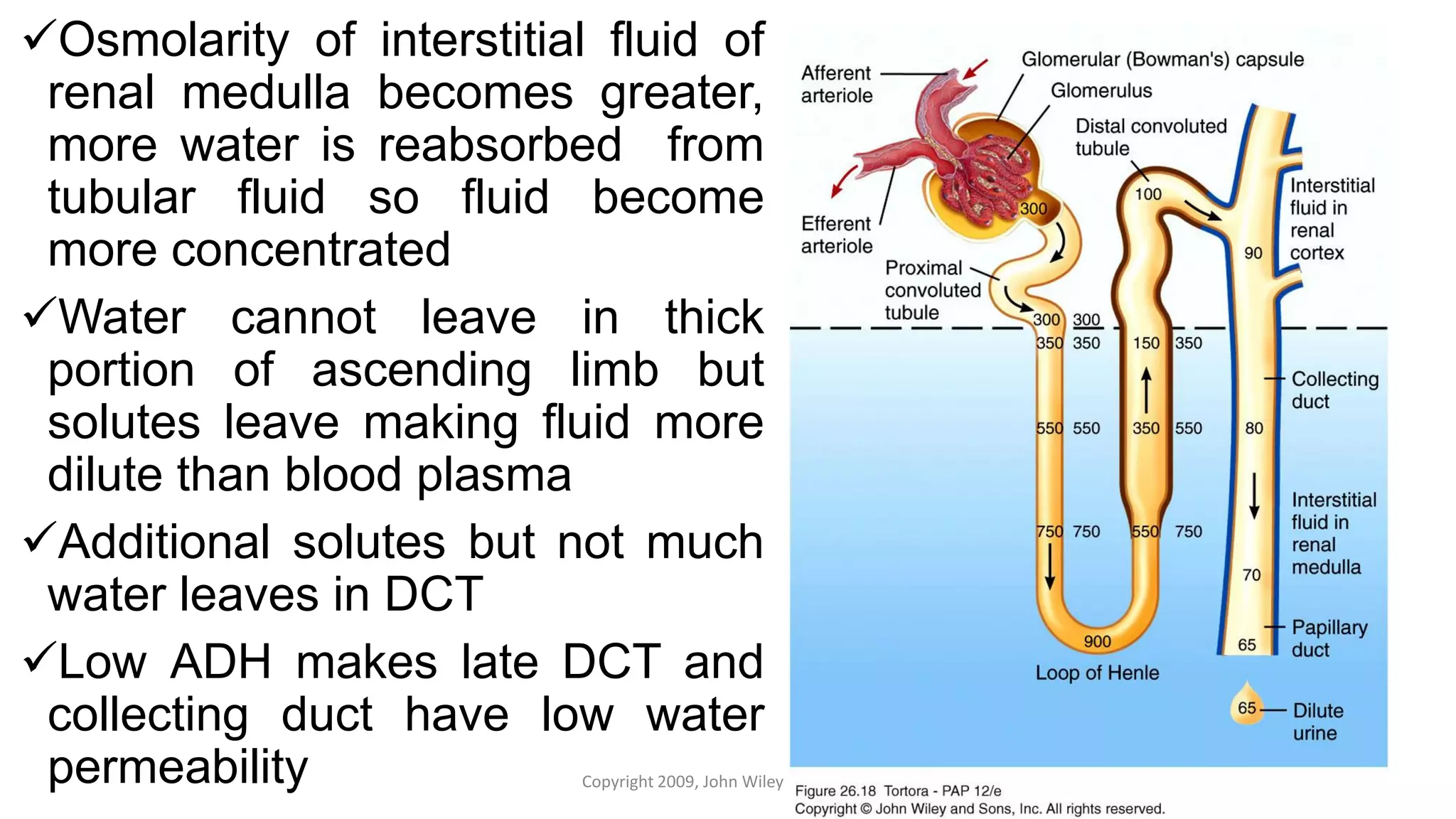 Regulation of urine concentration and volume ].pdf
