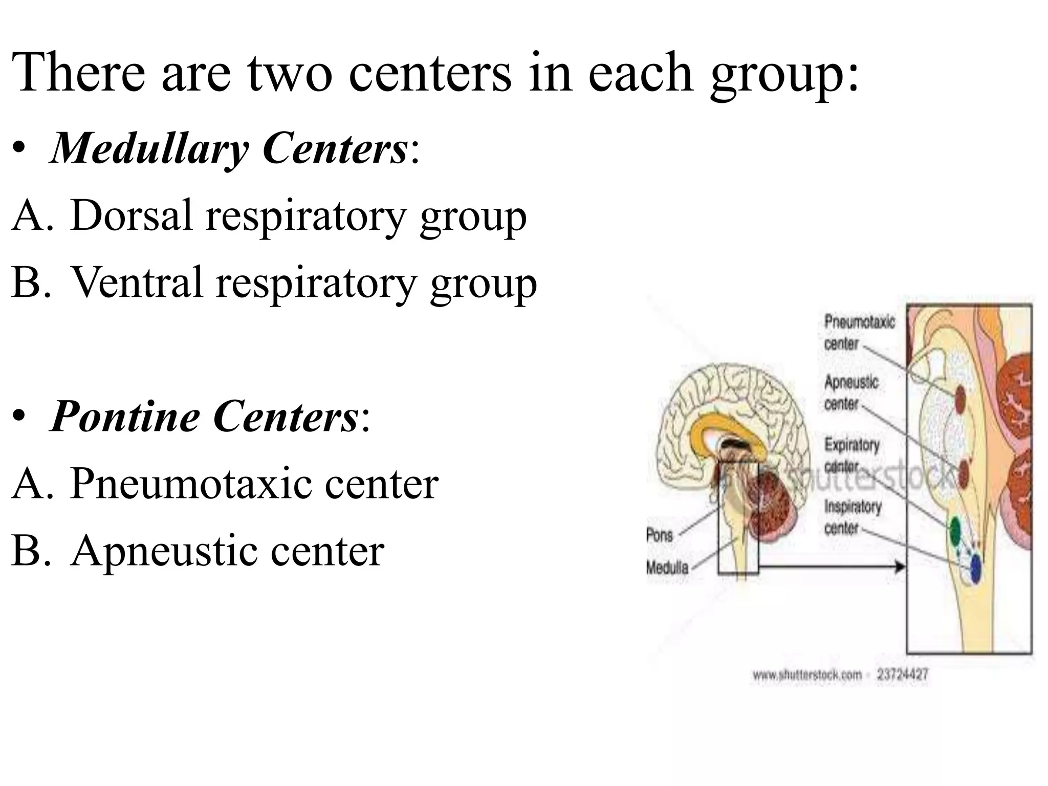 Regulation of ventilation Dr. MADHUKIRAN, MD.PULMONOLOGY | PPTX