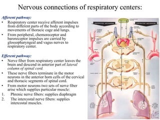 Regulation of ventilation Dr. MADHUKIRAN, MD.PULMONOLOGY | PPTX