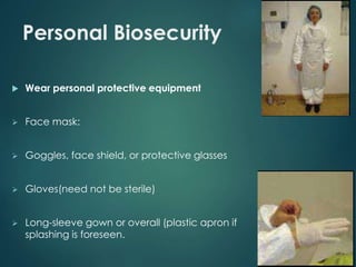 Regulations for safety in biological plants | PPTX