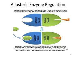 Allosteric Regulation