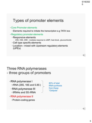 Regulatory elements analysis handouts | PDF