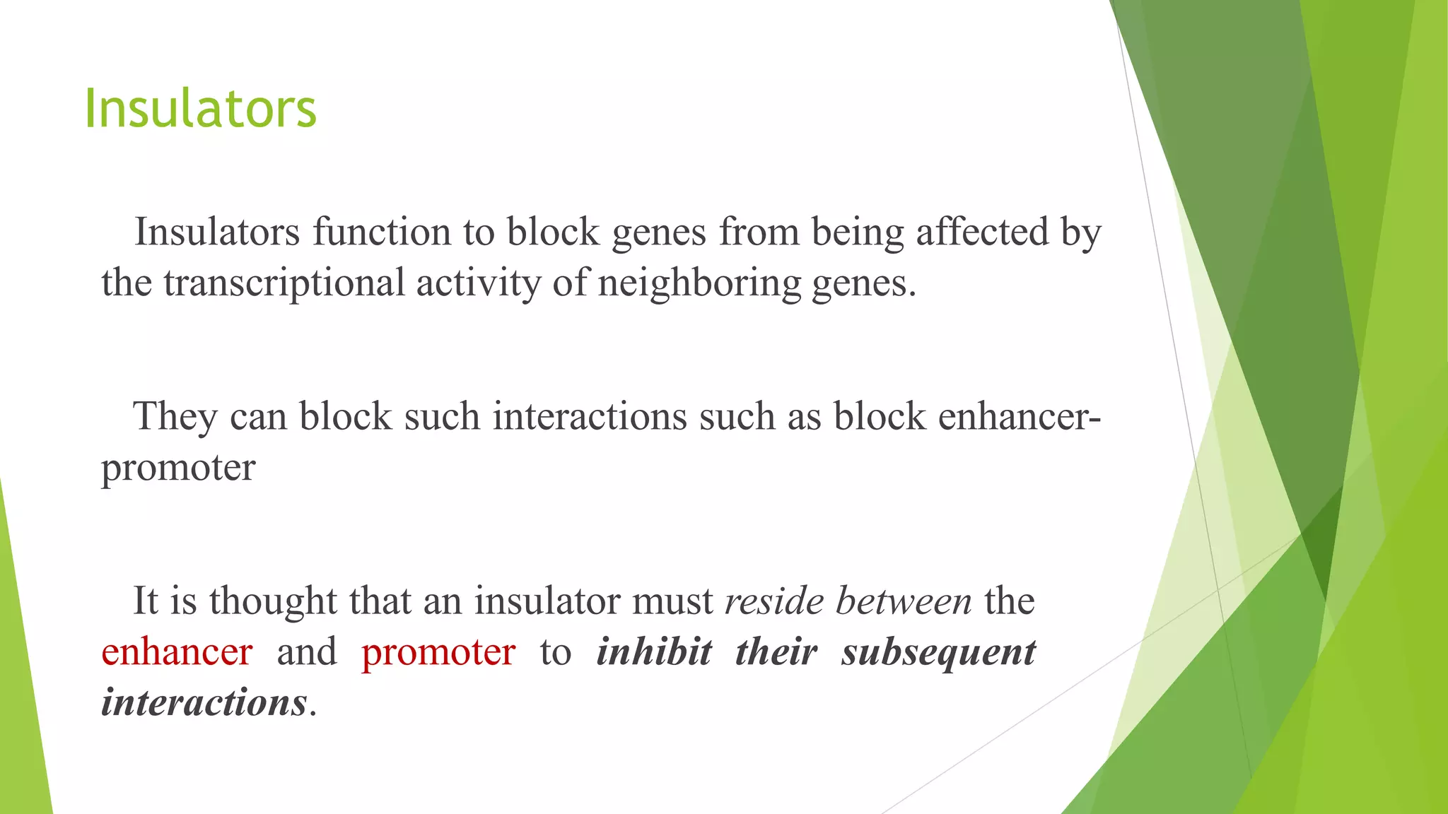 Regulatory elements of transcription.pptx