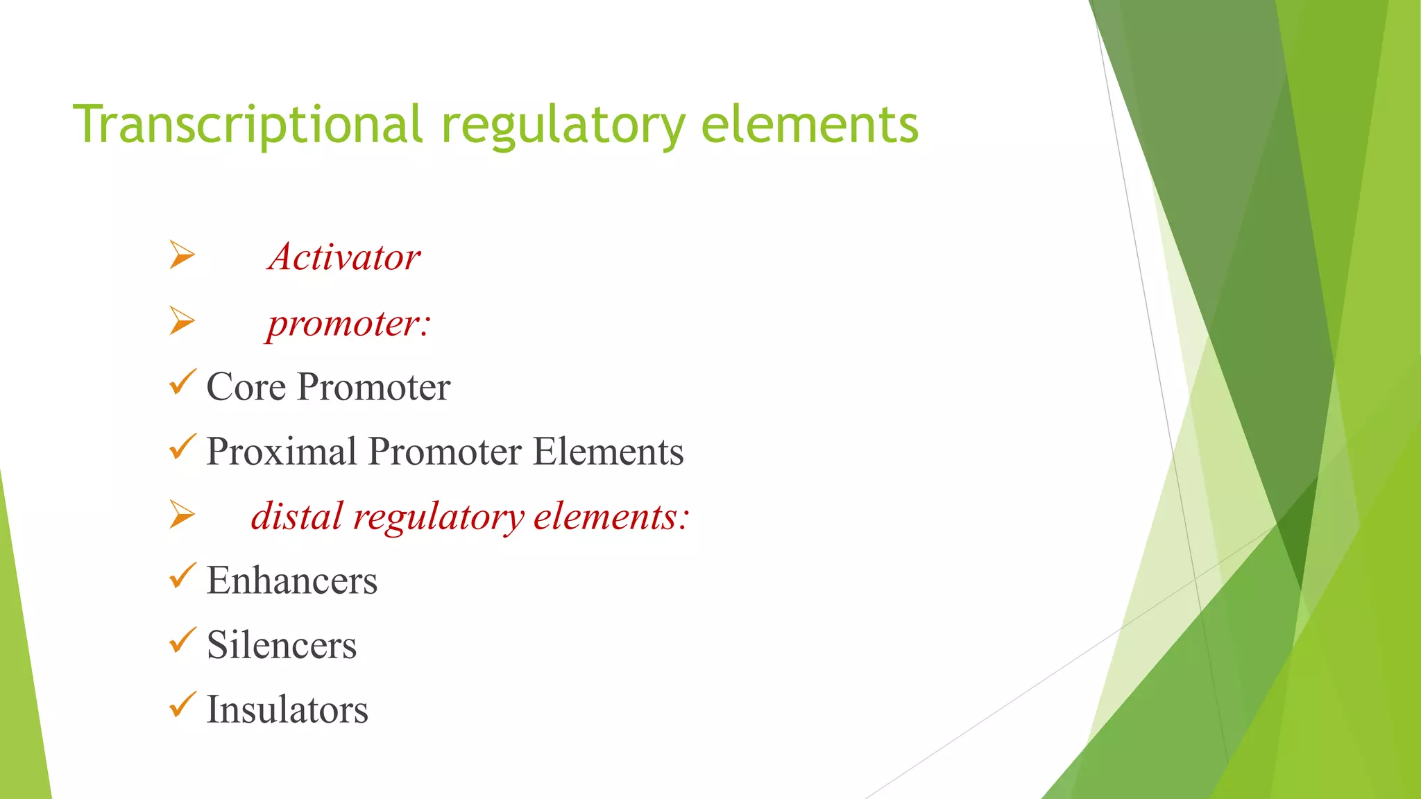 Regulatory elements of transcription.pptx