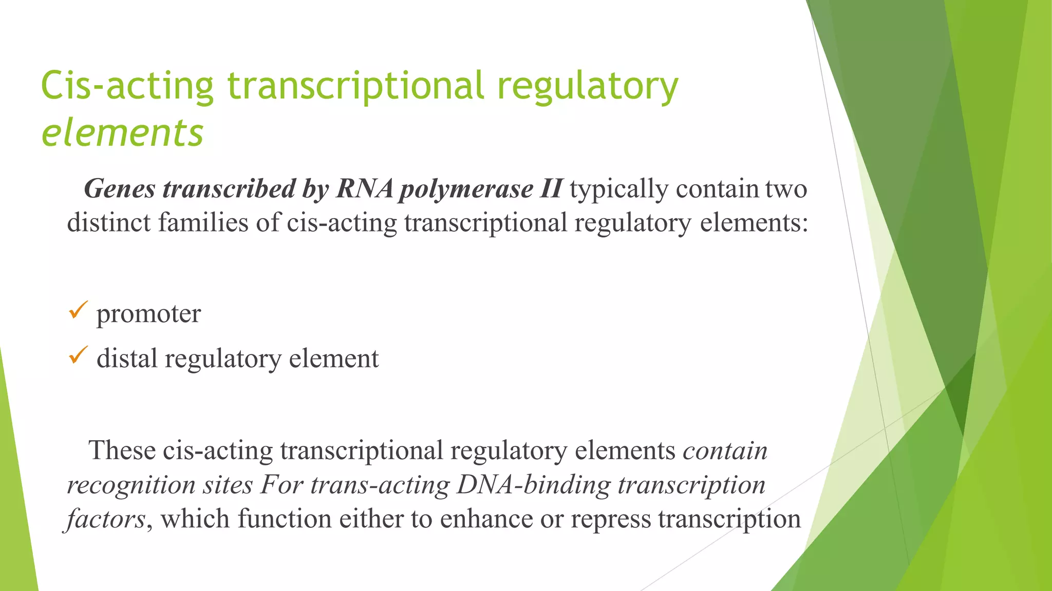 Regulatory elements of transcription.pptx