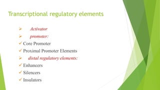 Regulatory elements of transcription.pptx