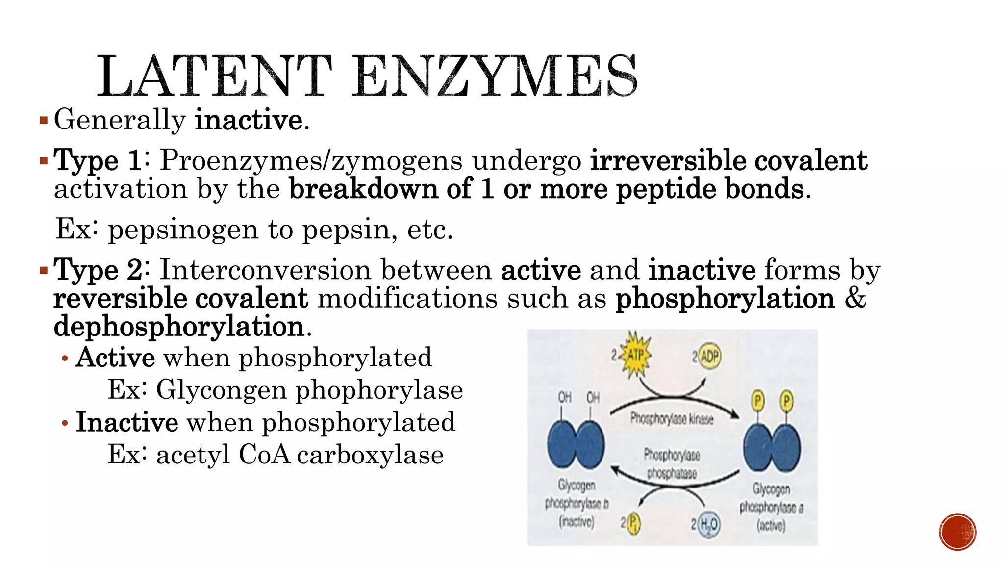 Regulatory enzymes & non protein enzymes, M. Sc. Zoology, University of ...