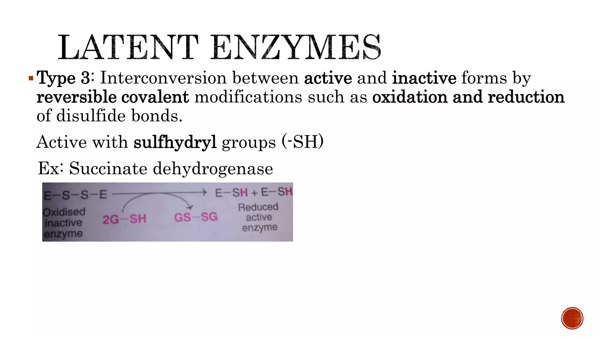 Regulatory enzymes & non protein enzymes, M. Sc. Zoology, University of ...