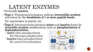 Regulatory enzymes & non protein enzymes, M. Sc. Zoology, University of ...