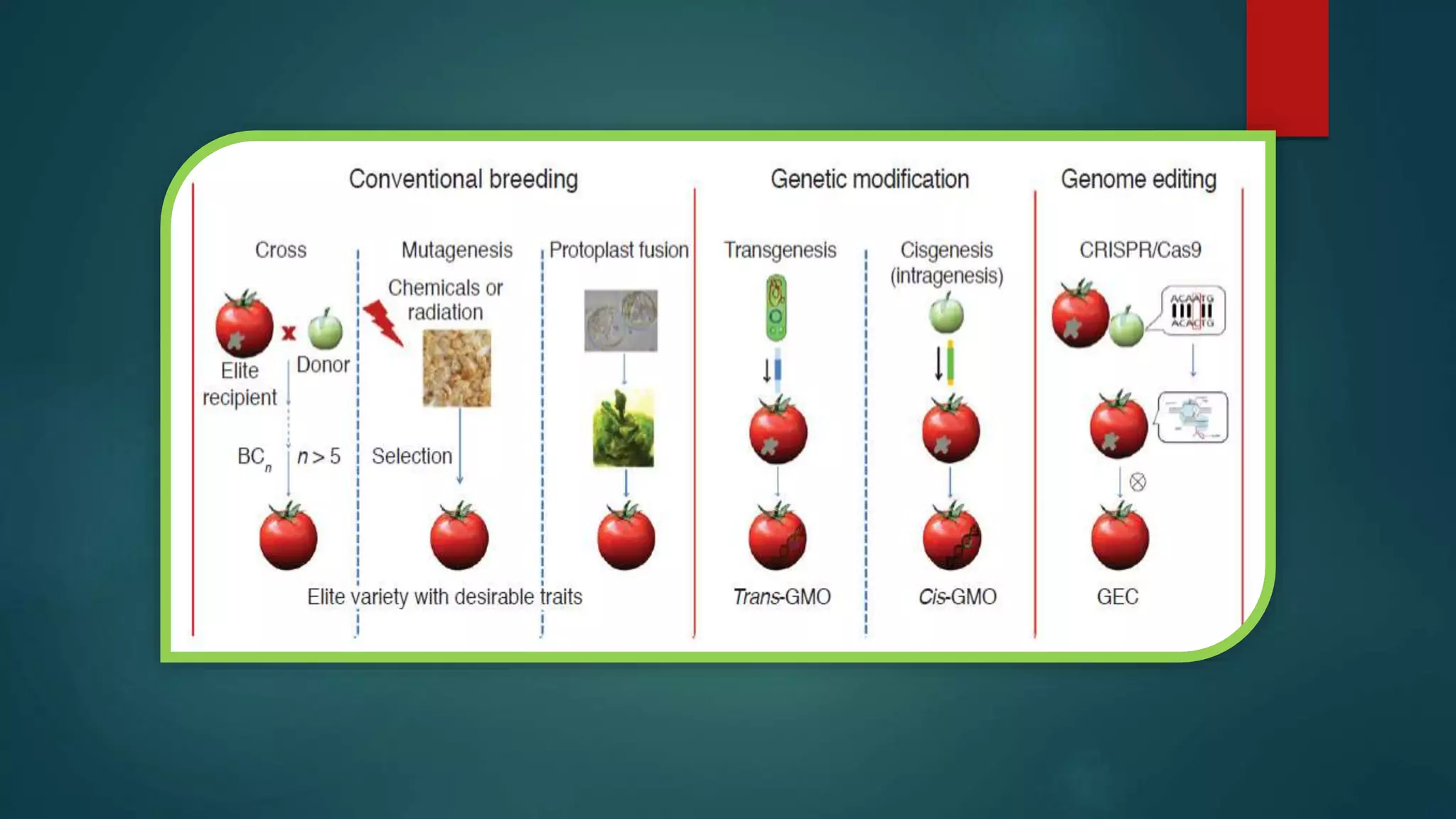 Regulatory framework for genome edited crops in india | PPT