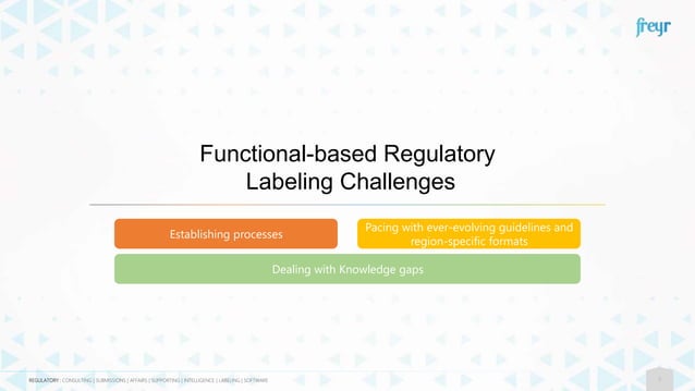 REGULATORY LABELING AND THE INDUSTRY CHALLENGES | PPTX | Business and ...