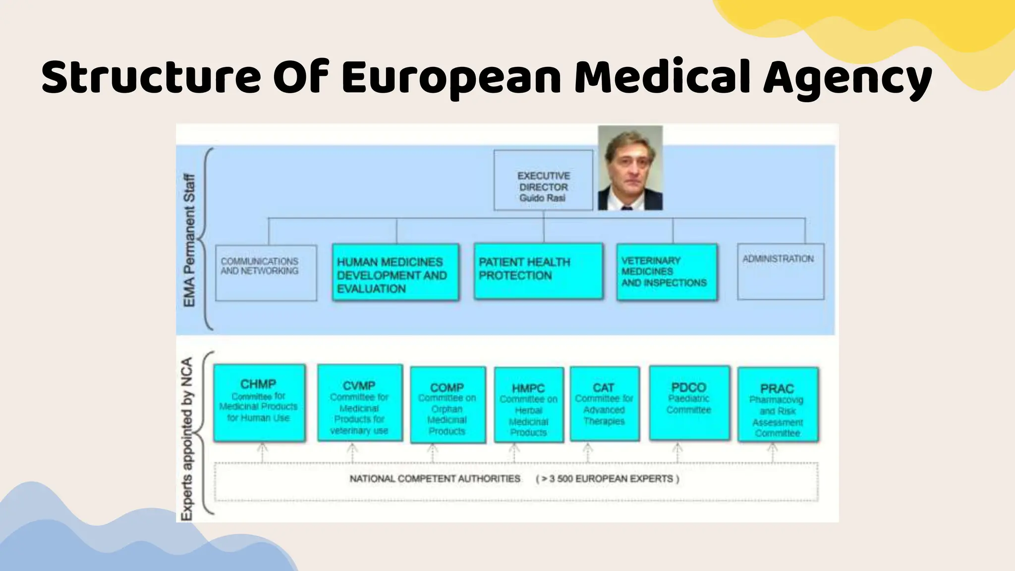 Regulatory Requirement for European Union Countries.pptx