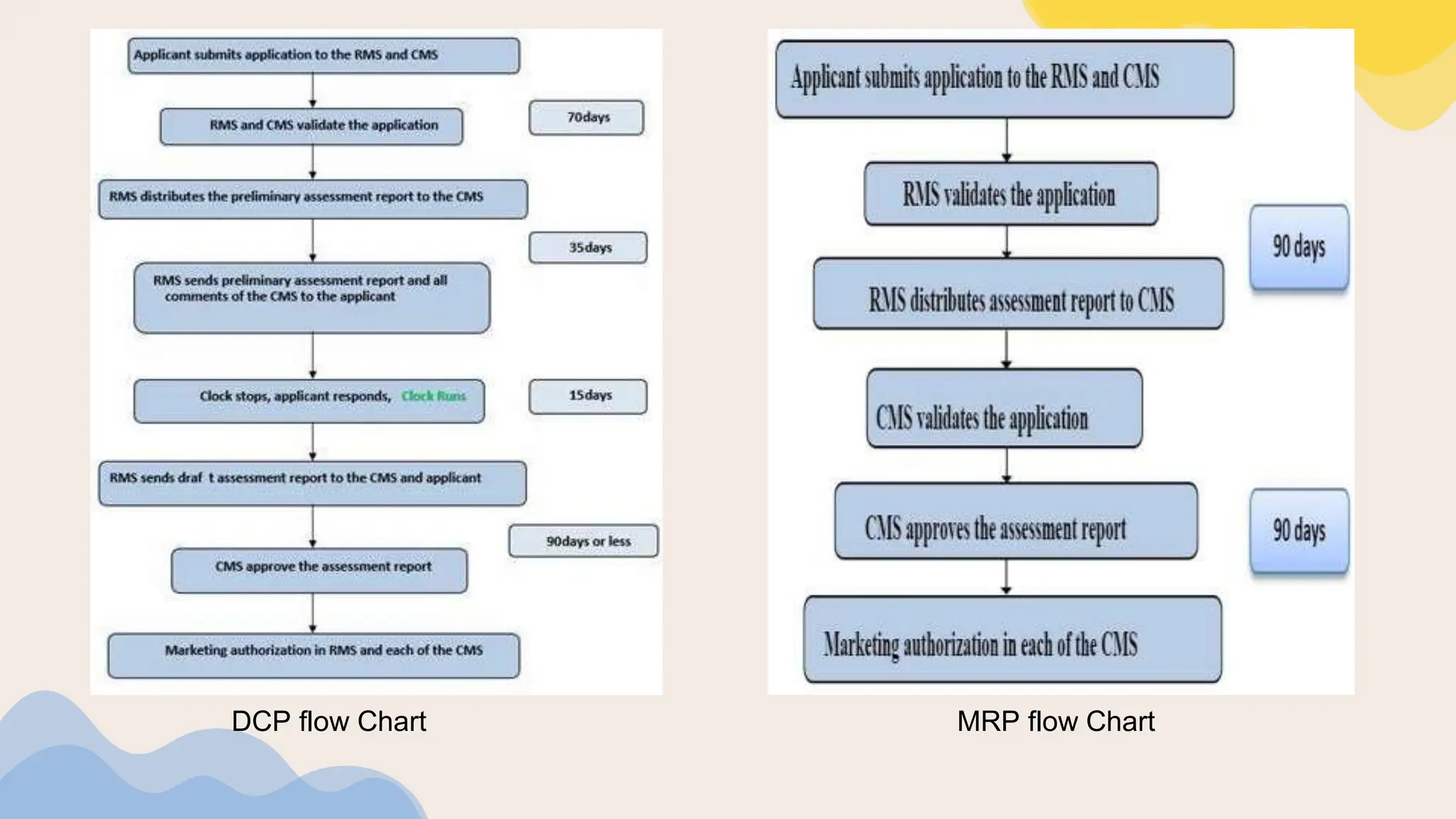 Regulatory Requirement for European Union Countries.pptx