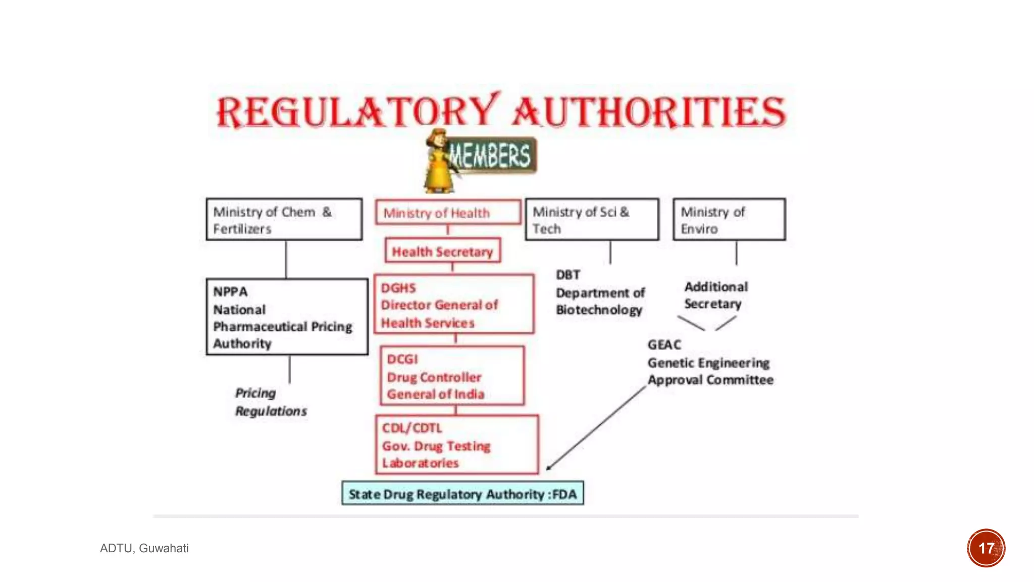 Regulatory Requirements for Drug Product Approval | PPTX