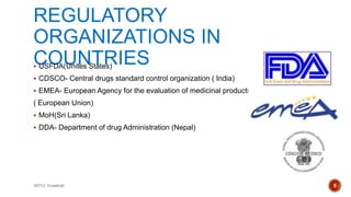 Regulatory Requirements for Drug Product Approval | PPTX