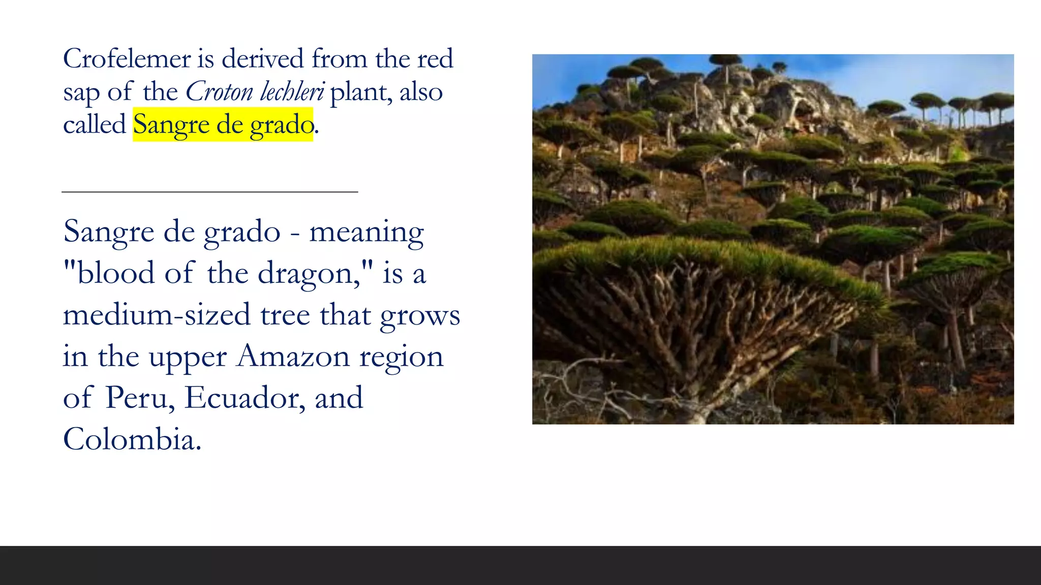 Regulatory requirements on herbal drugs understading the global ...