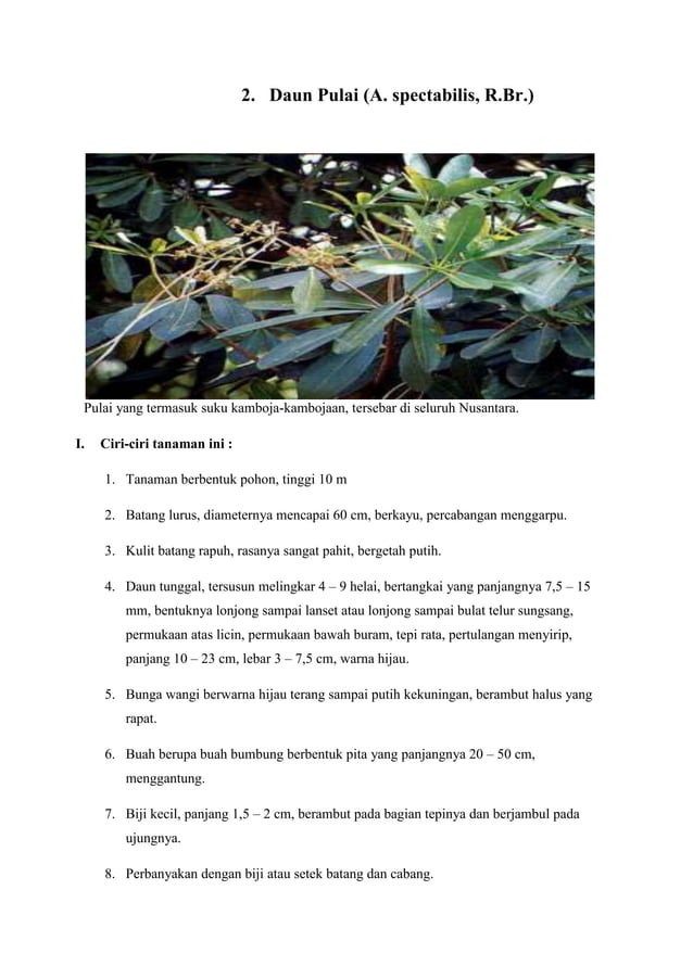 herbal untuk demam | PDF