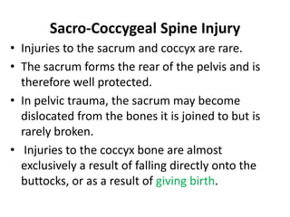 Rehab cervical through cocegeal power pt | PPTX