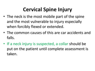 Rehab cervical through cocegeal power pt | PPT