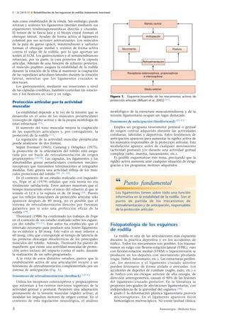 Rehabilitación de los esguinces de roodilla tratamiento funcional | PDF