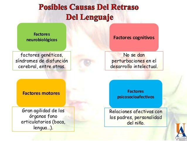 Retraso del lenguaje