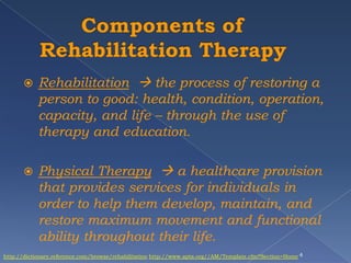 Rehabilitation | PDF