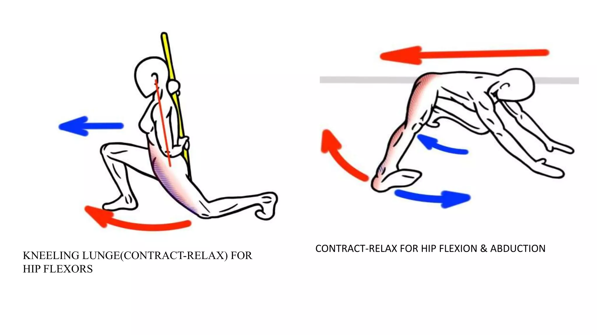 Hip Injury Rehabilitation | PPTX