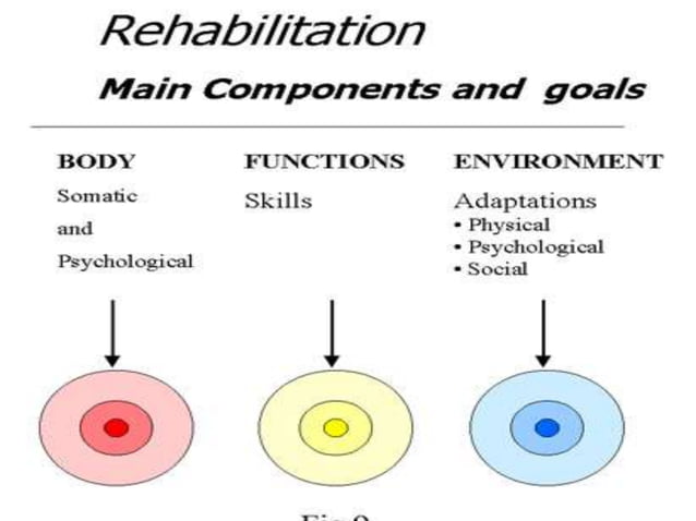Rehabilitation | PPTX | Physical Therapy | Wellness