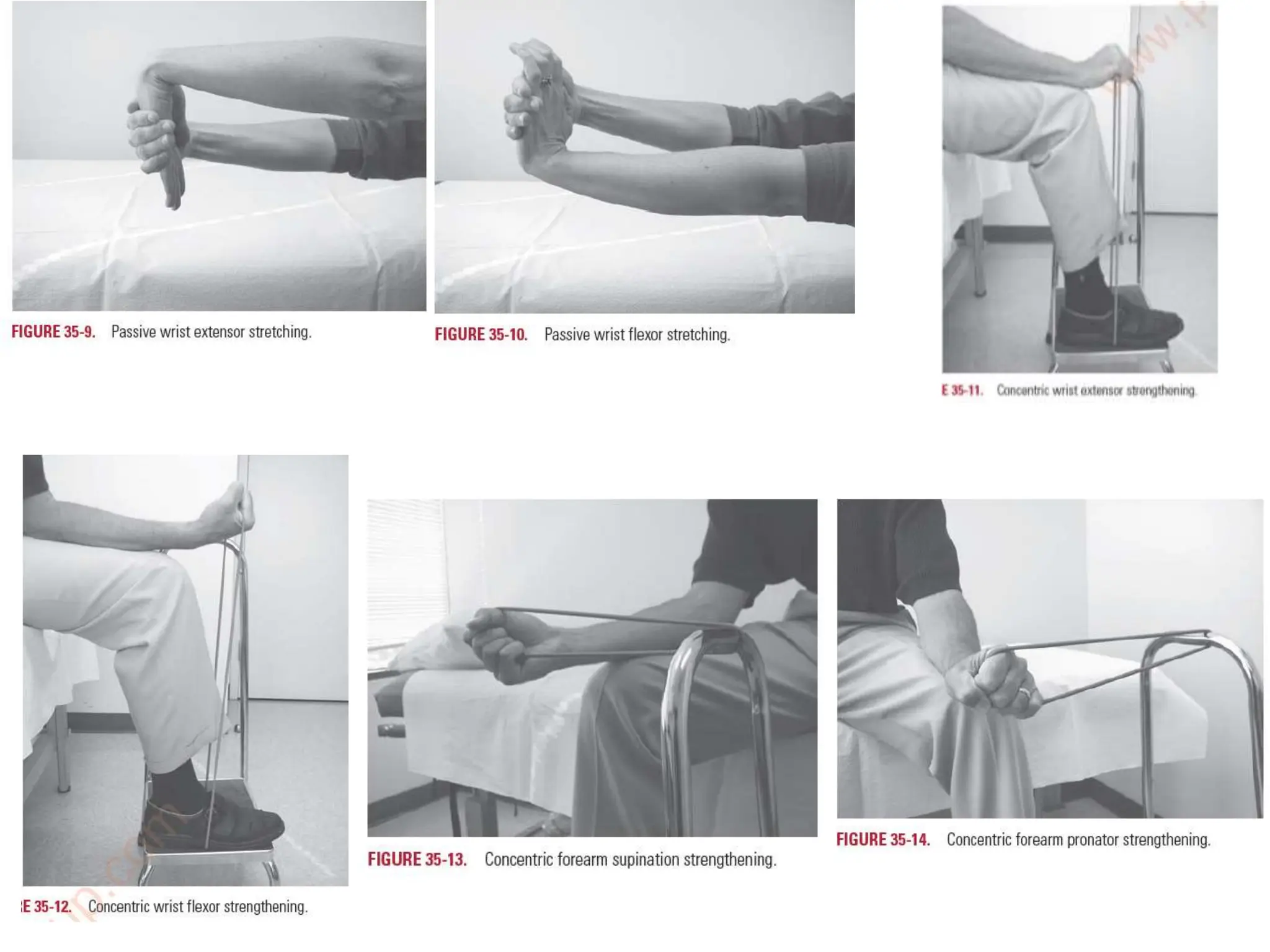 Rehabilitation-of-Tendinitis.pptx medicine | PPTX