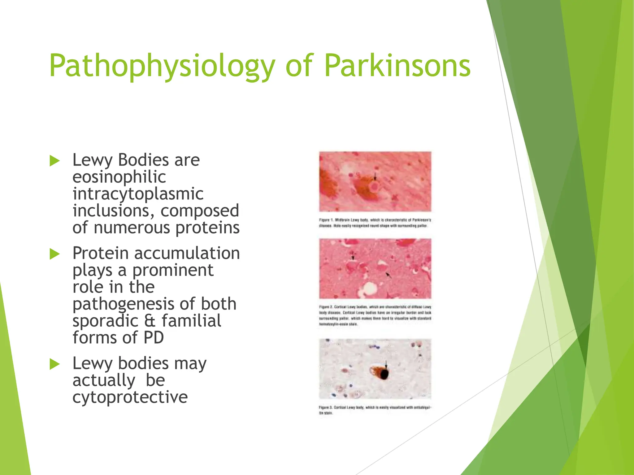 Rehabilitation Management of Parkinsons Disease.ppt