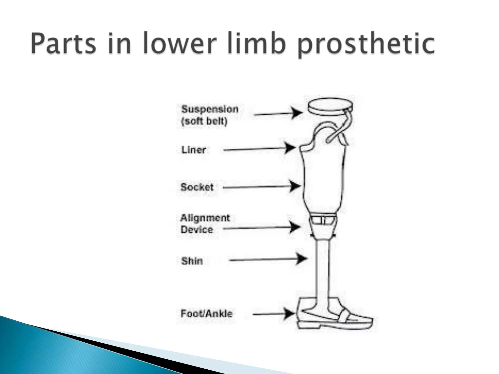 Rehabilitation of lower limb amputee | PPTX