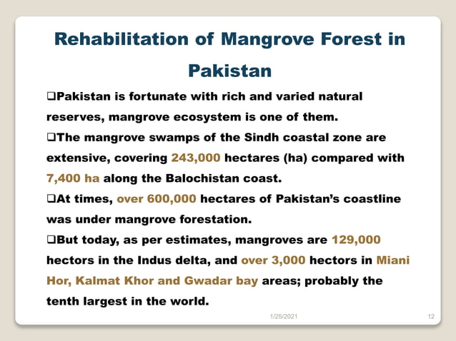 Rehabilitation of mangrove forest in pakistan presentation1 | PPT