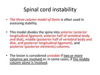 Rehabilitation of the cancer patient | PPTX
