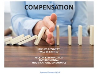 RehaCom software for cognitive rehabilitation | PPTX