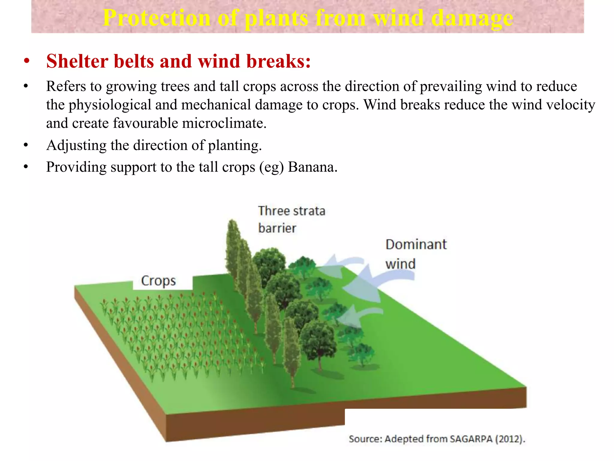abiotic stress and its management in fruit crops | PPTX