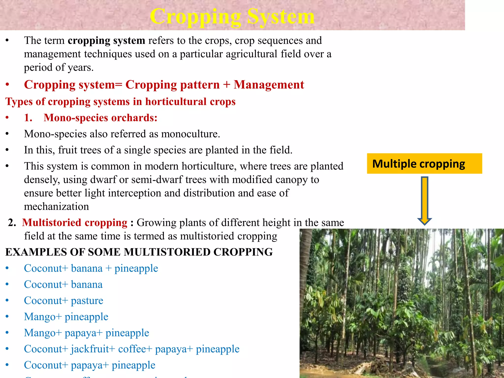 abiotic stress and its management in fruit crops | PPTX