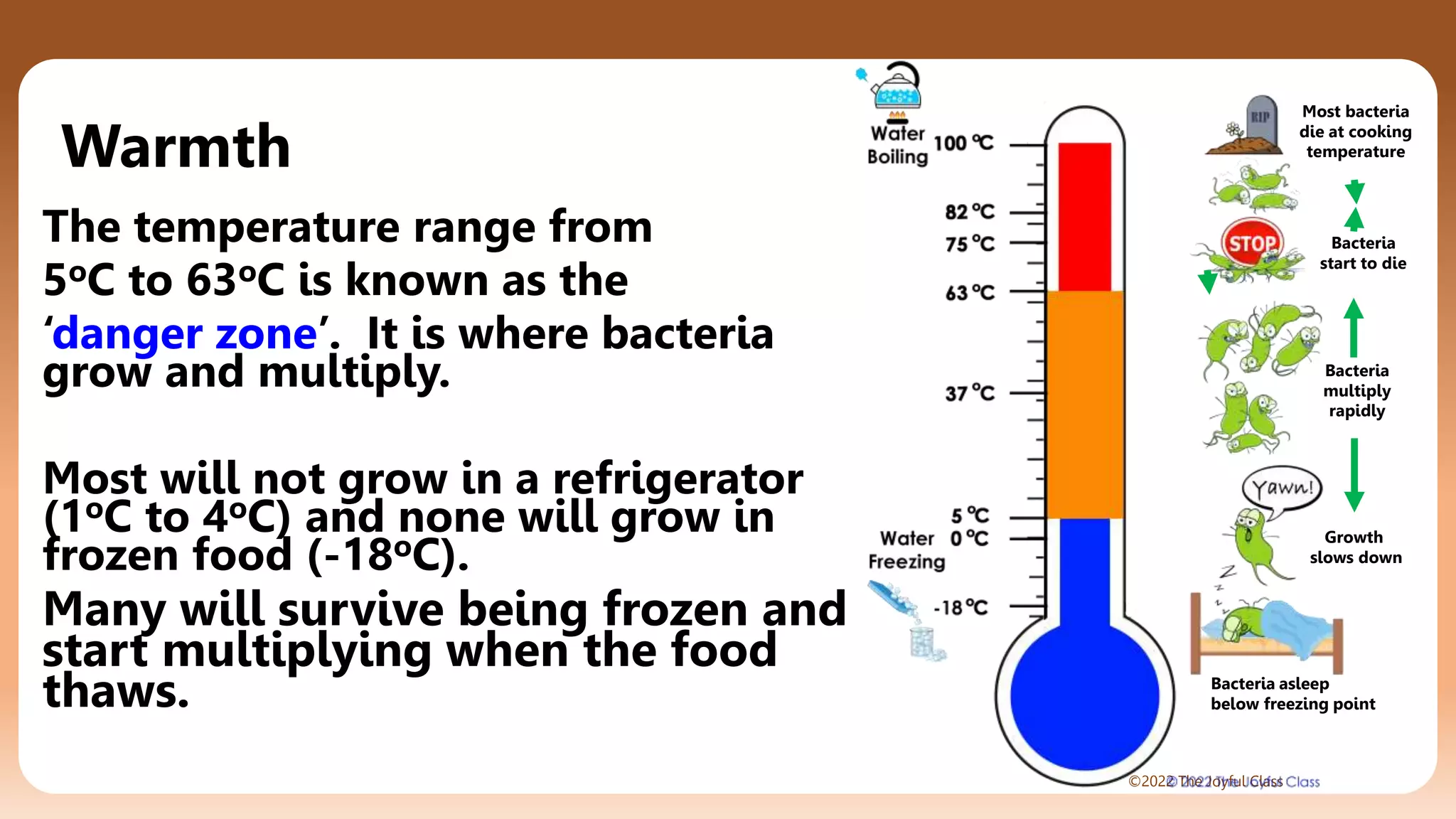 Food Hygiene 2 - Bacteria and their characteristics.pptx