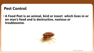 Food Hygiene 6 - Common food pests and their control.pptx