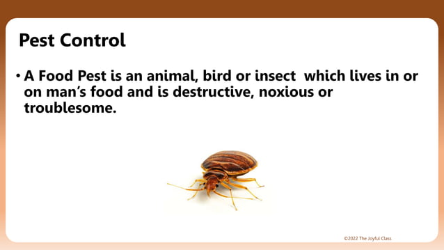 Food Hygiene 6 - Common food pests and their control.pptx