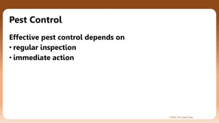 Food Hygiene 6 - Common food pests and their control.pptx
