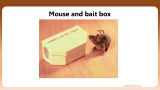 Food Hygiene 6 - Common food pests and their control.pptx